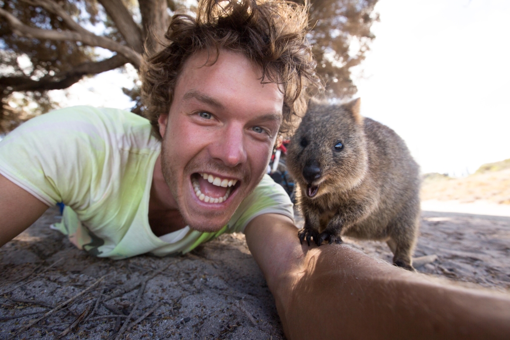Un selfie con il Quokka (photogallery) | Francesco Carusone .it